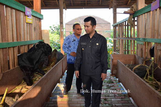 Teknologi Pertanian Agropark Trenggalek, Sarana Edukasi Terintegrasi ...