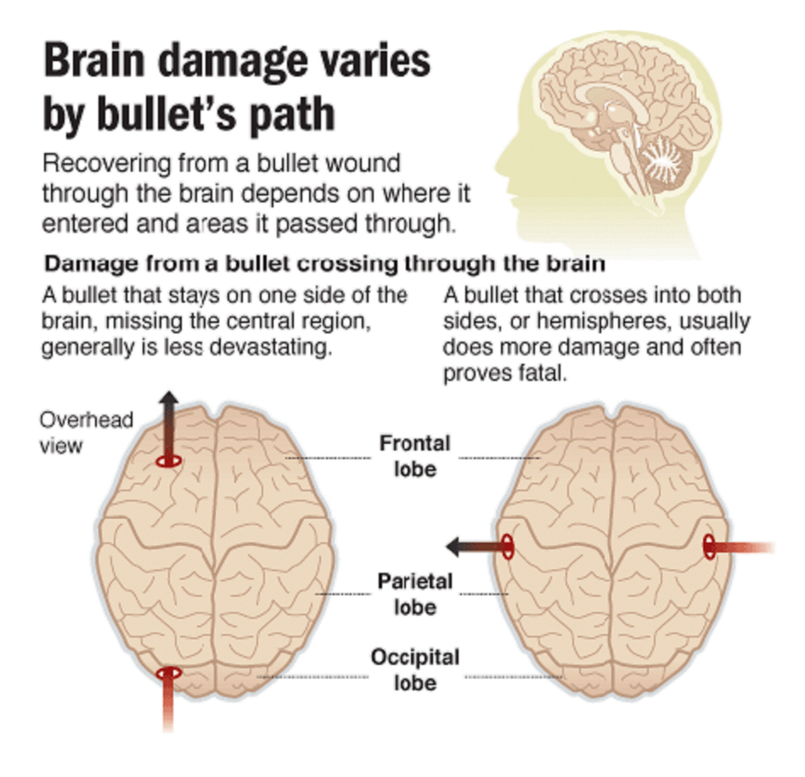 SHOLA ADEBOWALE.com: BULLET TO THE HEAD; A SURVIVOR’S STORY