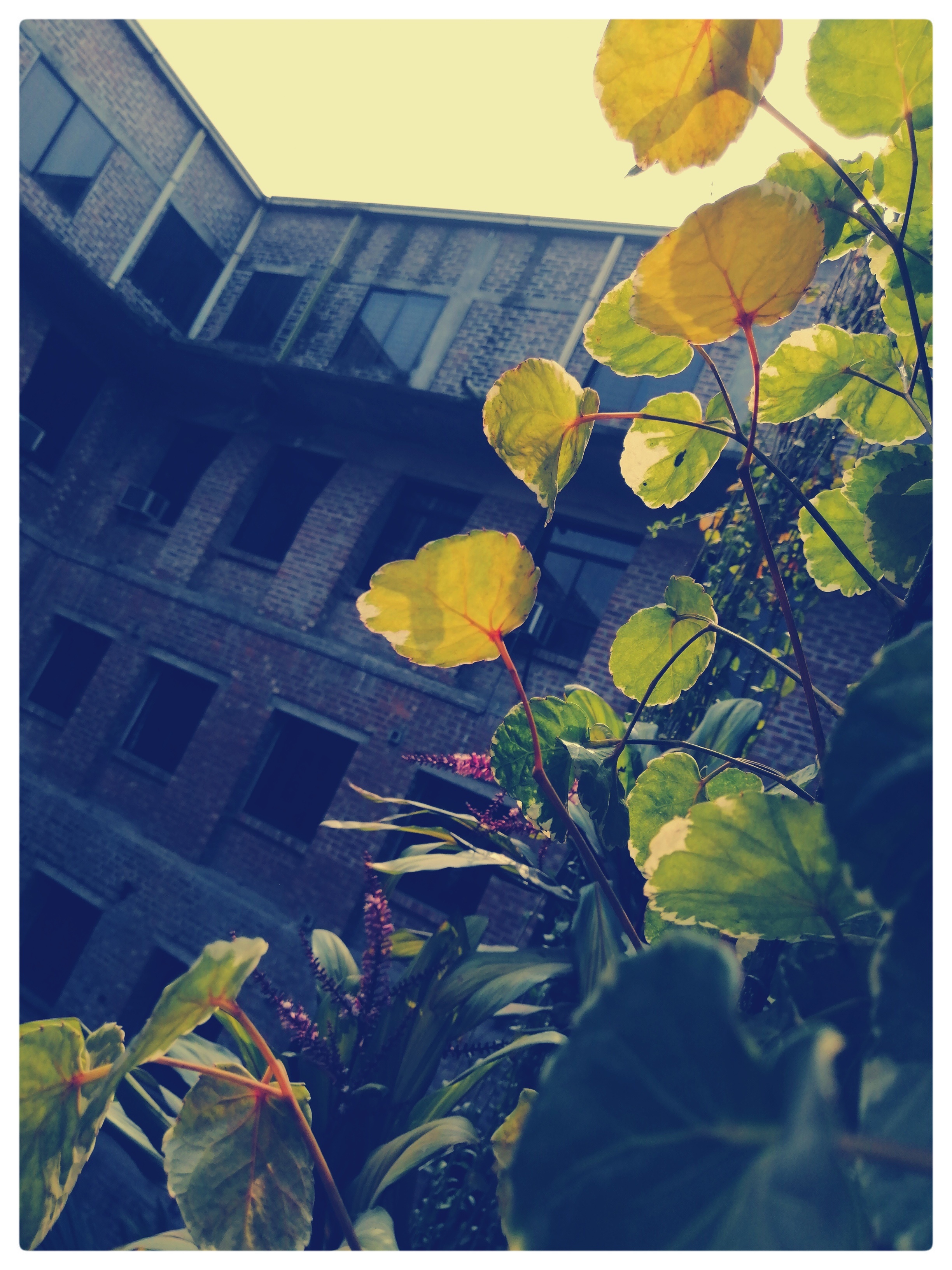 দেয়াল (Deyal): ছবিঘর - দেবযানী দে রাত্রি