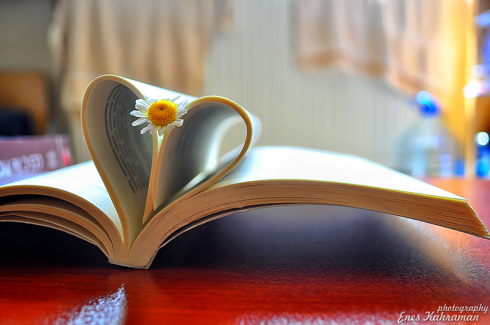 Imagini cu cărţi | StolenIMG