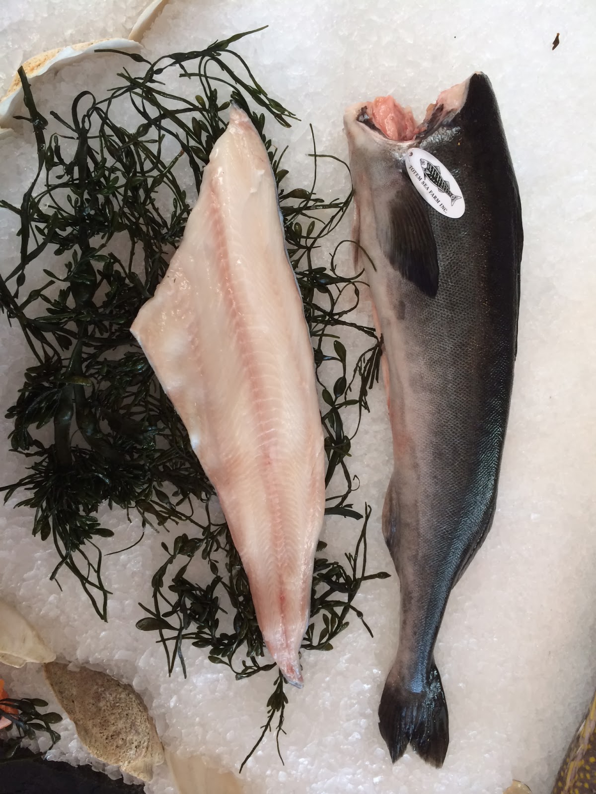 The Edible Ocean: Fresh Sable, Farmed