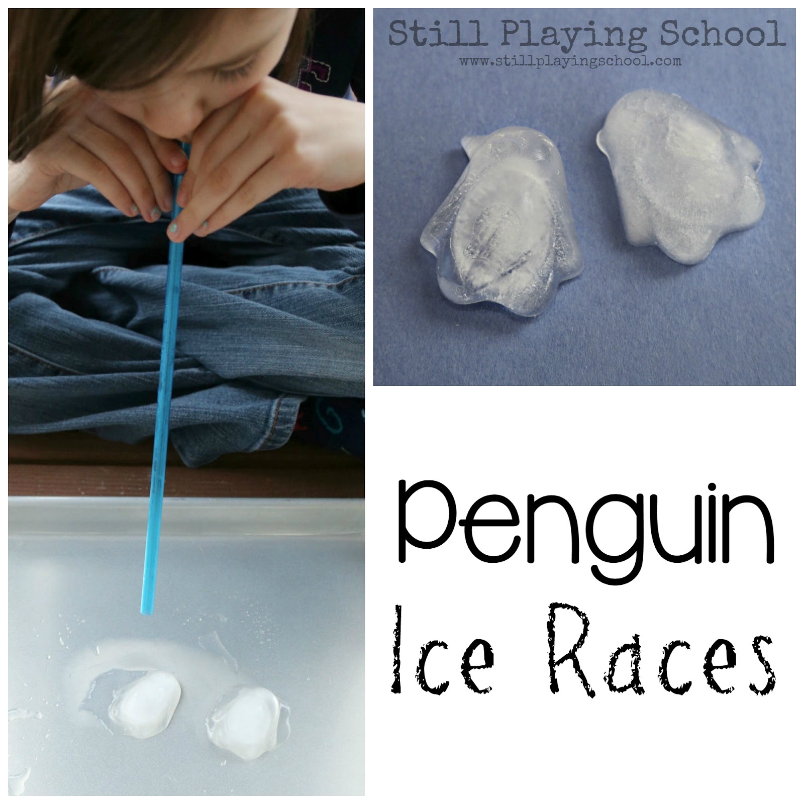 Penguin Ice Races | Still Playing School