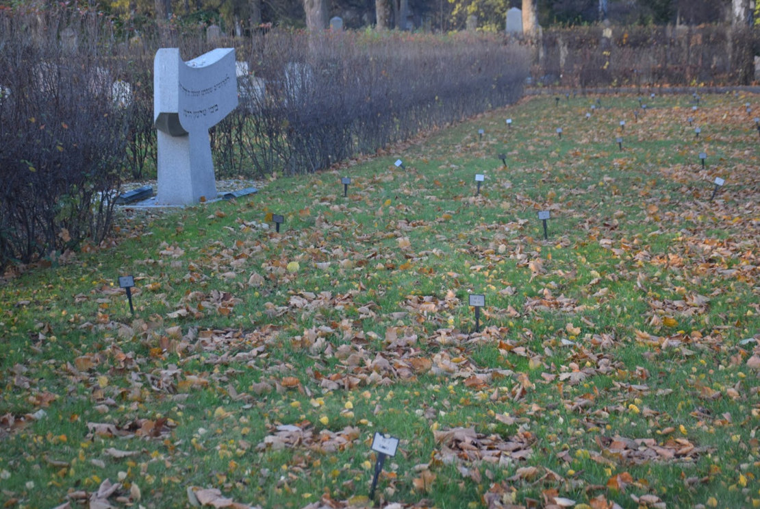 Jim bao Today with ©opyright on all pictu®es and text: De första ...