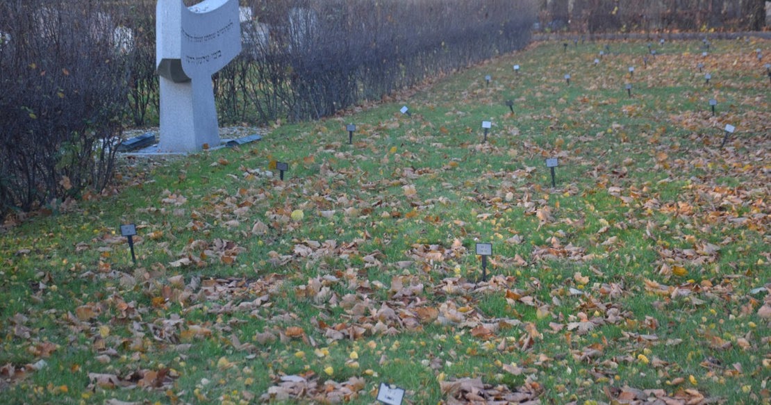 Jim bao Today with ©opyright on all pictu®es and text: De första ...