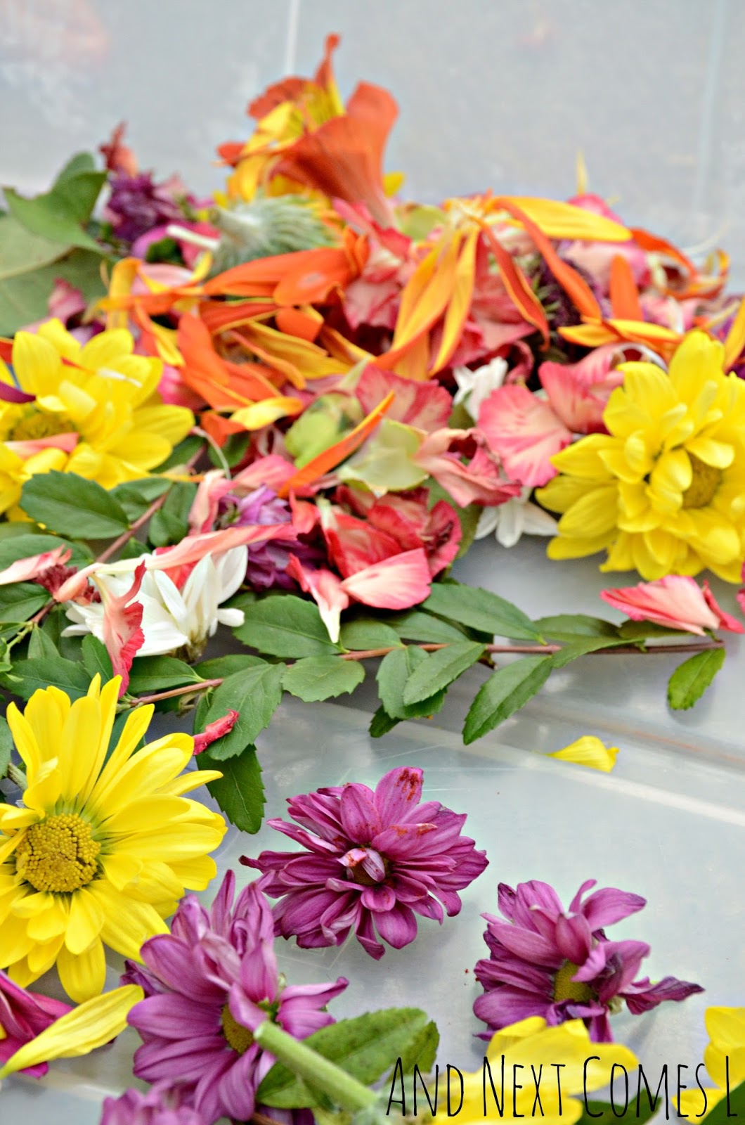 Flower Sensory Bin & Fine Motor Activity for Kids | And Next Comes L ...