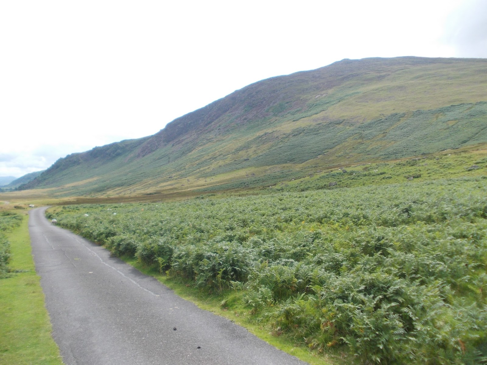 Obsessed: Lake District, Carrock Fell, Knott & High Pike.