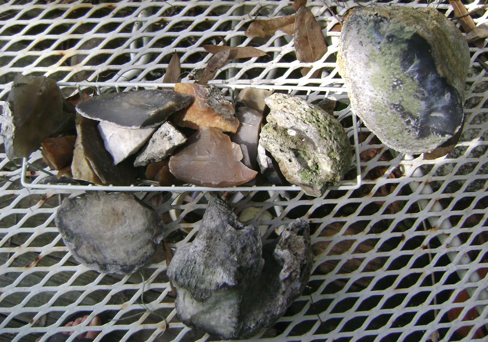 Seminole Heights Pocket Swamp: Trash and treasures- stuff found in the ...