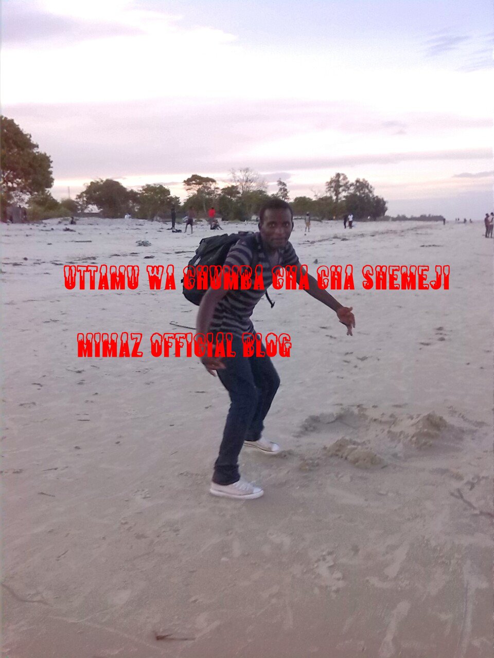 UTAMU WA CHUMBA CHA SHEMEJI FINAL | Mimaz Official Blog