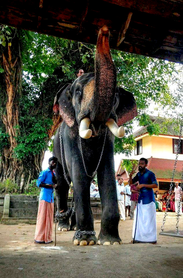 Chirakkal Kalidasan Photos - Chirakkal Kalidasan HD Images