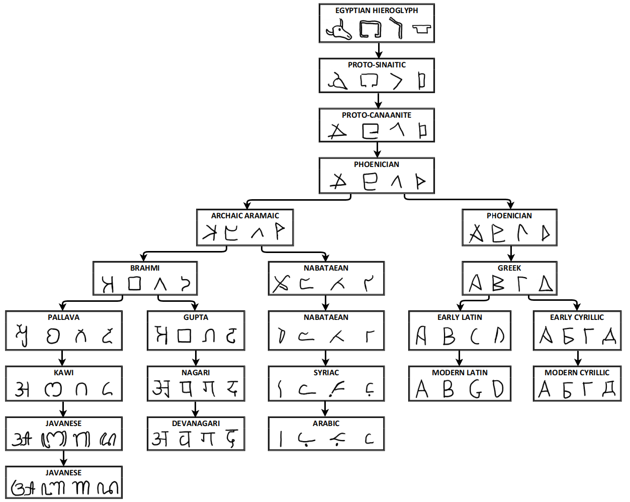 The Alphabet Family Tree (Origin and Evolution) ~ Hilmi Yafi