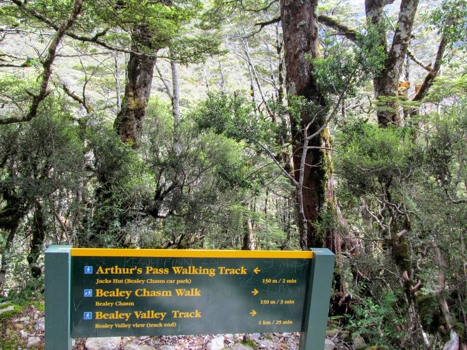 Tramping in the New Zealand backcountry: NZ Bush Adventures: Arthur's ...