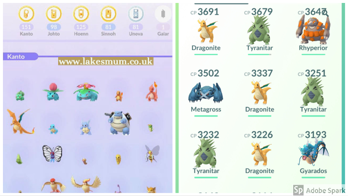 Lakes Single Mum: Pokémon Go - Level 39