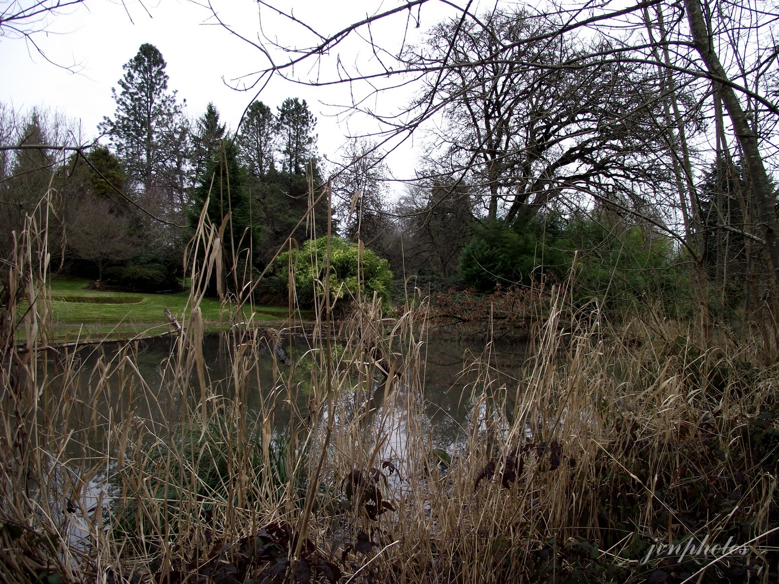Photos by Jan: Island Park-Springfield, Oregon