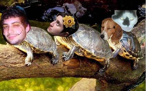 Hairy Business: TURTLE PEOPLE