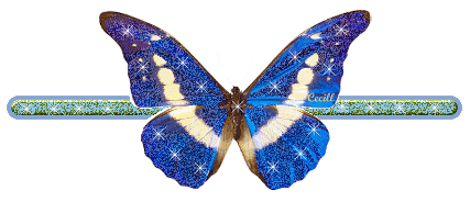 Gif_Paradise: BUTTERFLY DIVIDERS