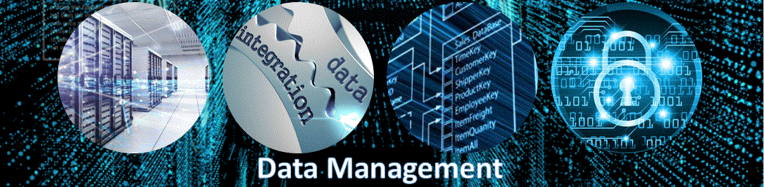 SQL Troubles: Data Management: Data Quality (Introduction)