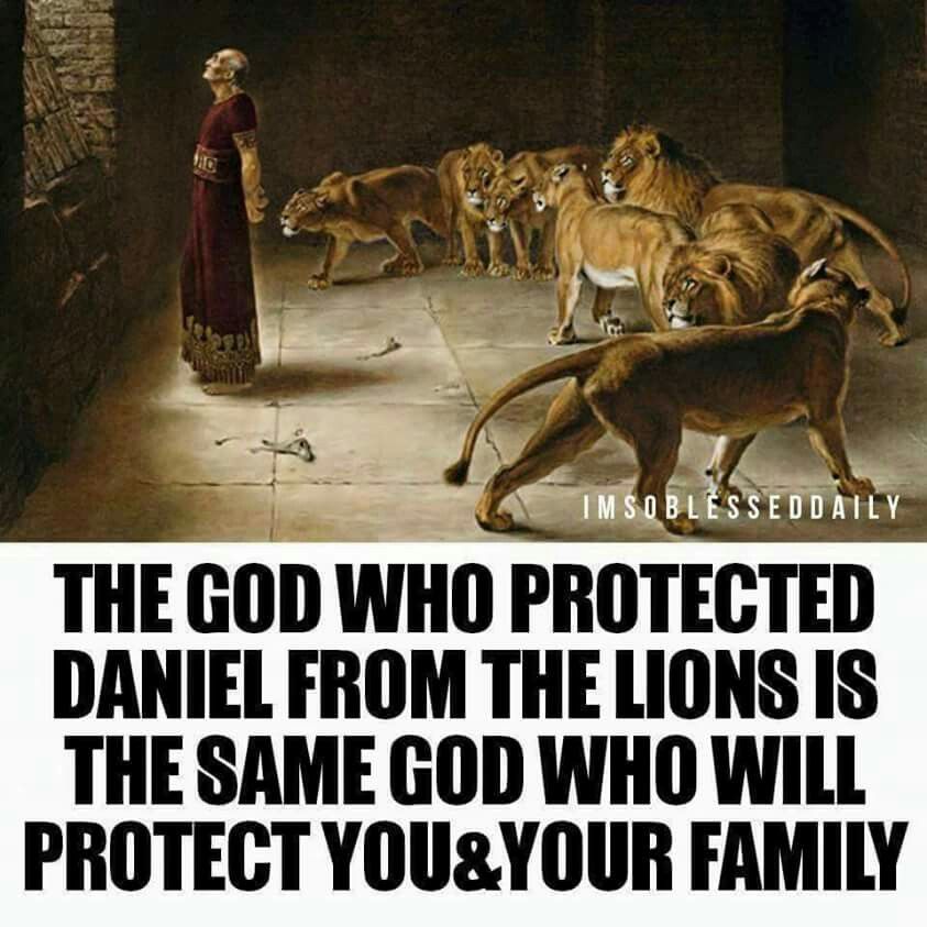 The Story of Daniel in the Lion's Den: Another Story of God's Miracles ...
