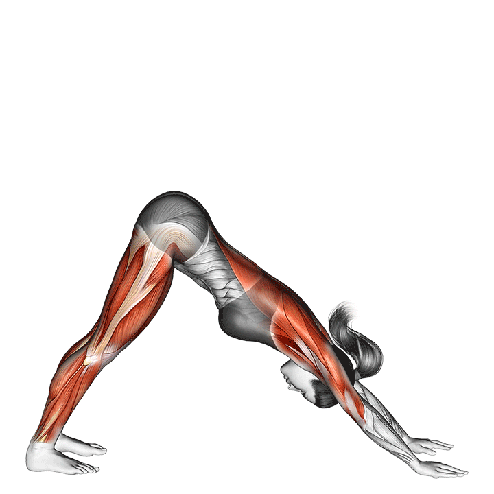 Old School Strength : 4 Morning Dynamic Yoga Stretches