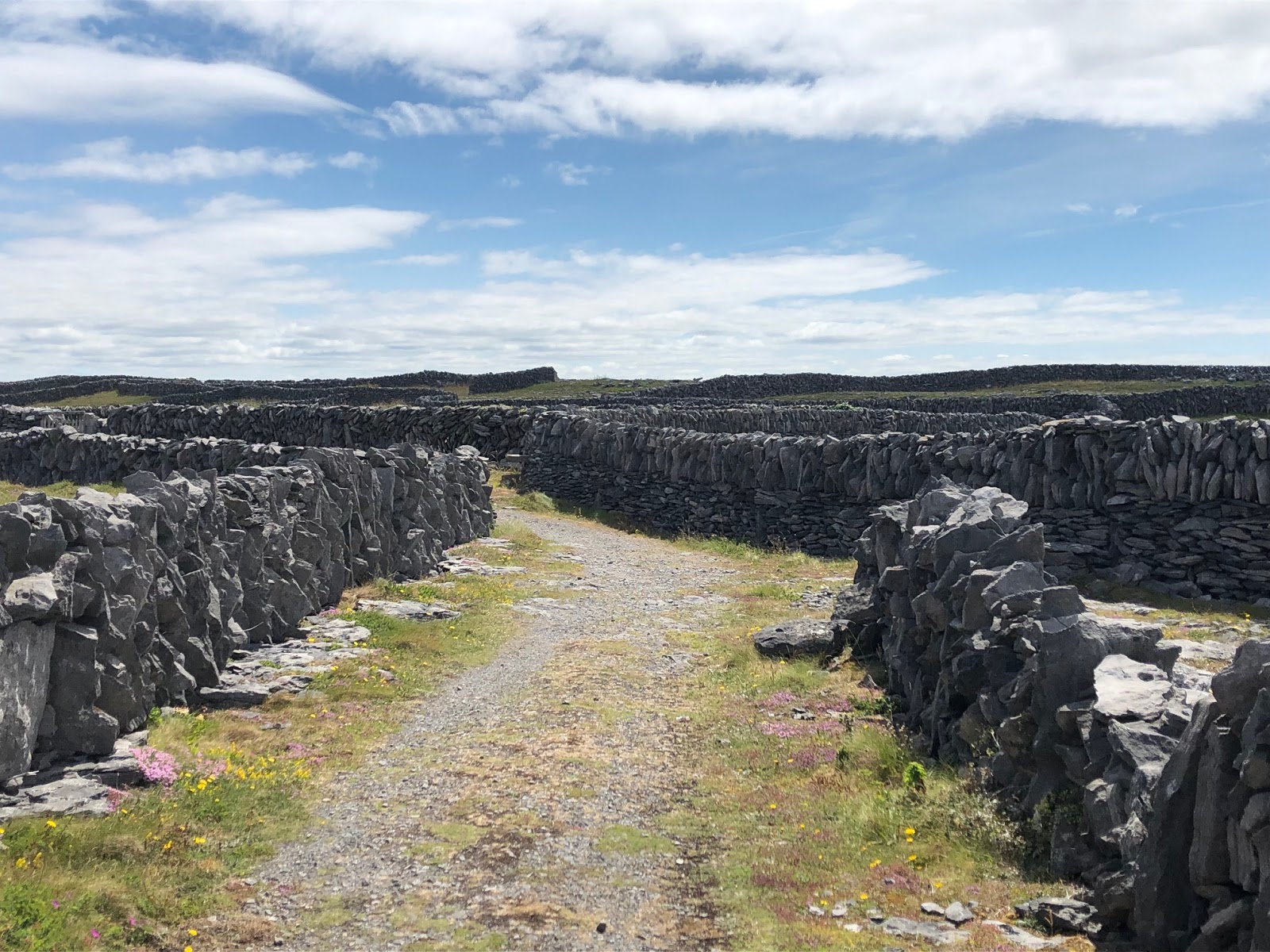 House of Pottery: Aran Island (アラン島）