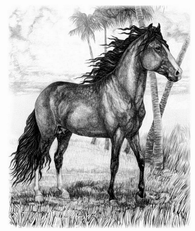 Arte y Actividad Cultural: Dibujos de CaBaLLoS a Lápiz (Grafito y Carboncillo)