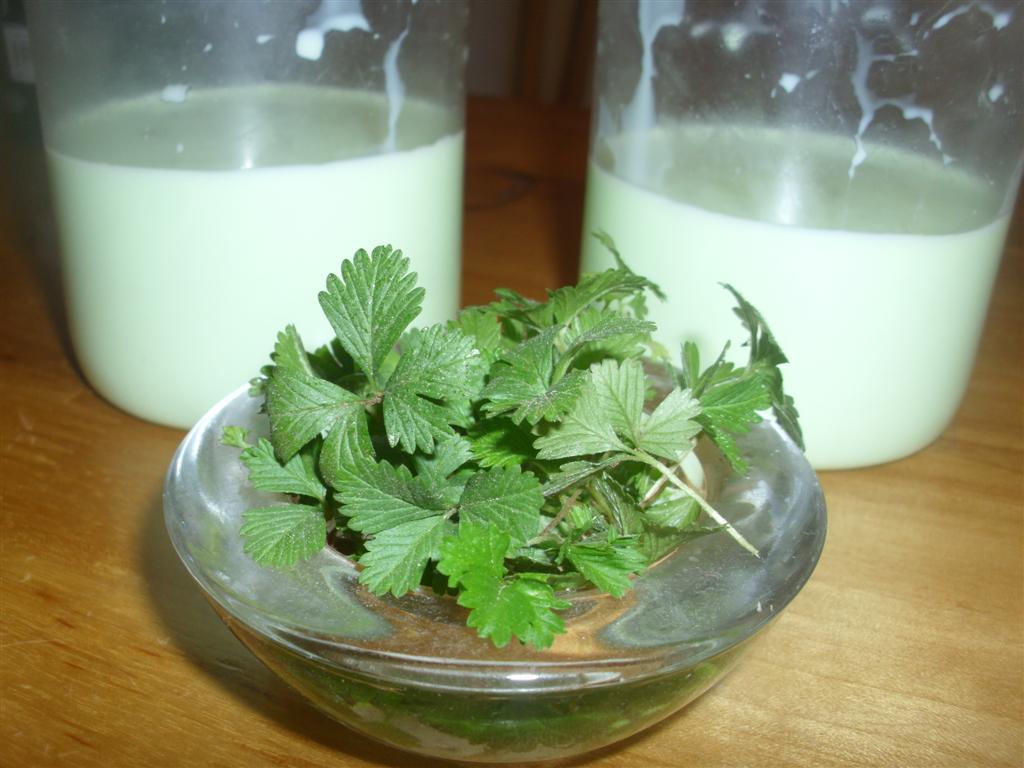 The Do-It-Yourself Mom: March 2012