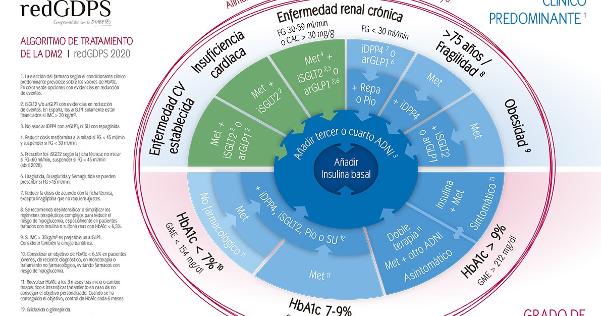 RedgedapS: Nuevo Algoritmo de tratamiento de la diabetes tipo 2 de la ...