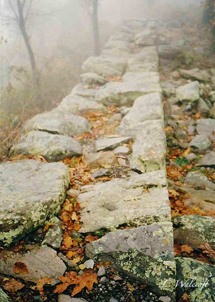 The View from Squirrel Ridge: Winding Down on Willy Nilly Friday