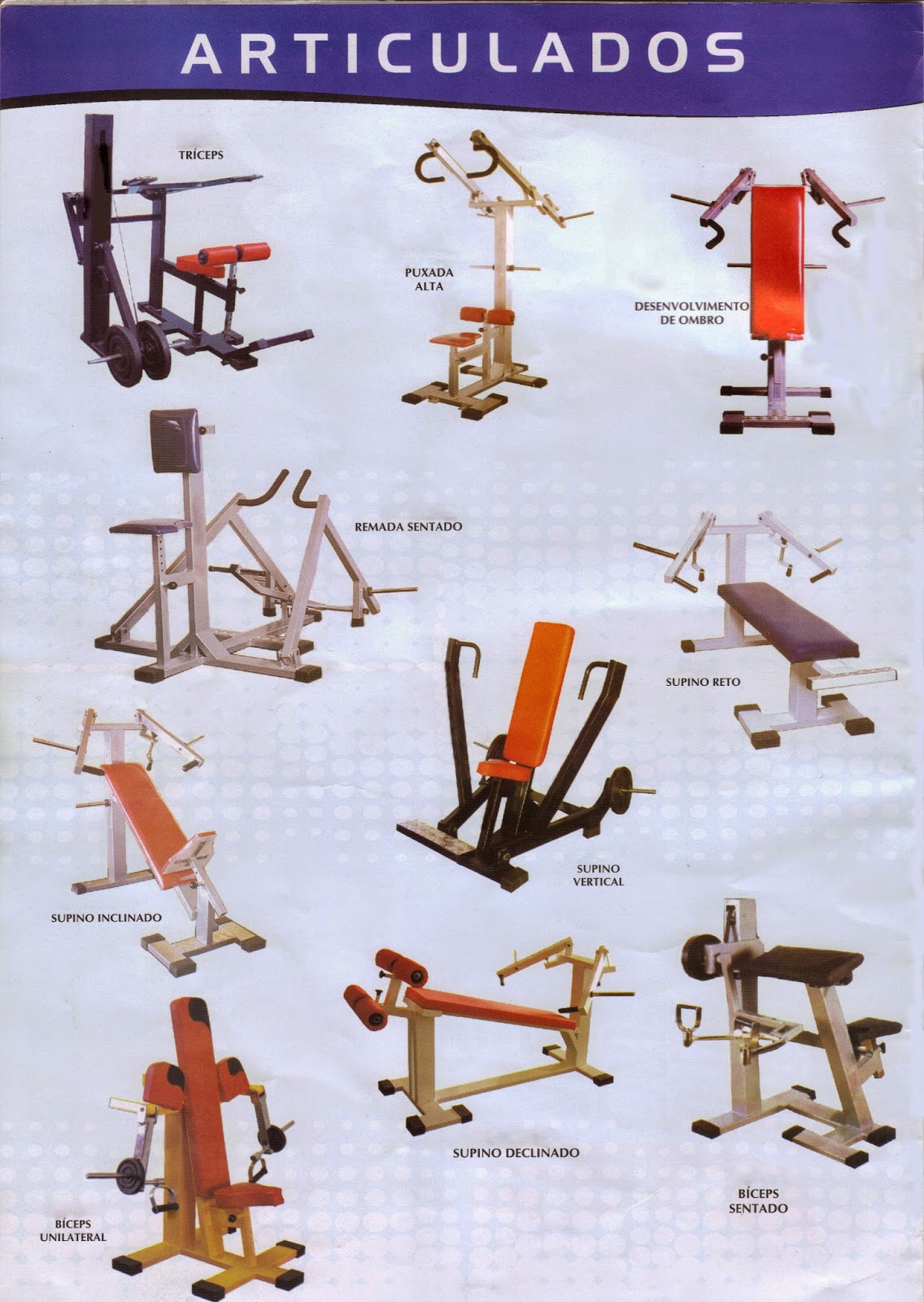 Maquinas De Academia Nomes - BRAINCP