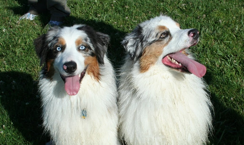 Ours for a Year: July 2011