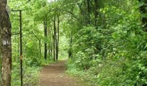 Durshet Khapoli Maharashtra - Picnic Spot's Near by Mumbai Maharashtra