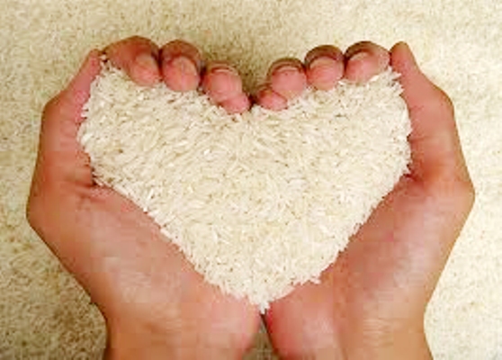 Serba-Serbi Seputar Kamboja: Sebutir Nasi Sejuta Keringat