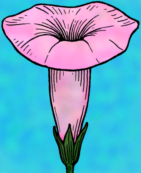 Pembahasan Soal OSK IPA Biologi - KSN SMP 2019