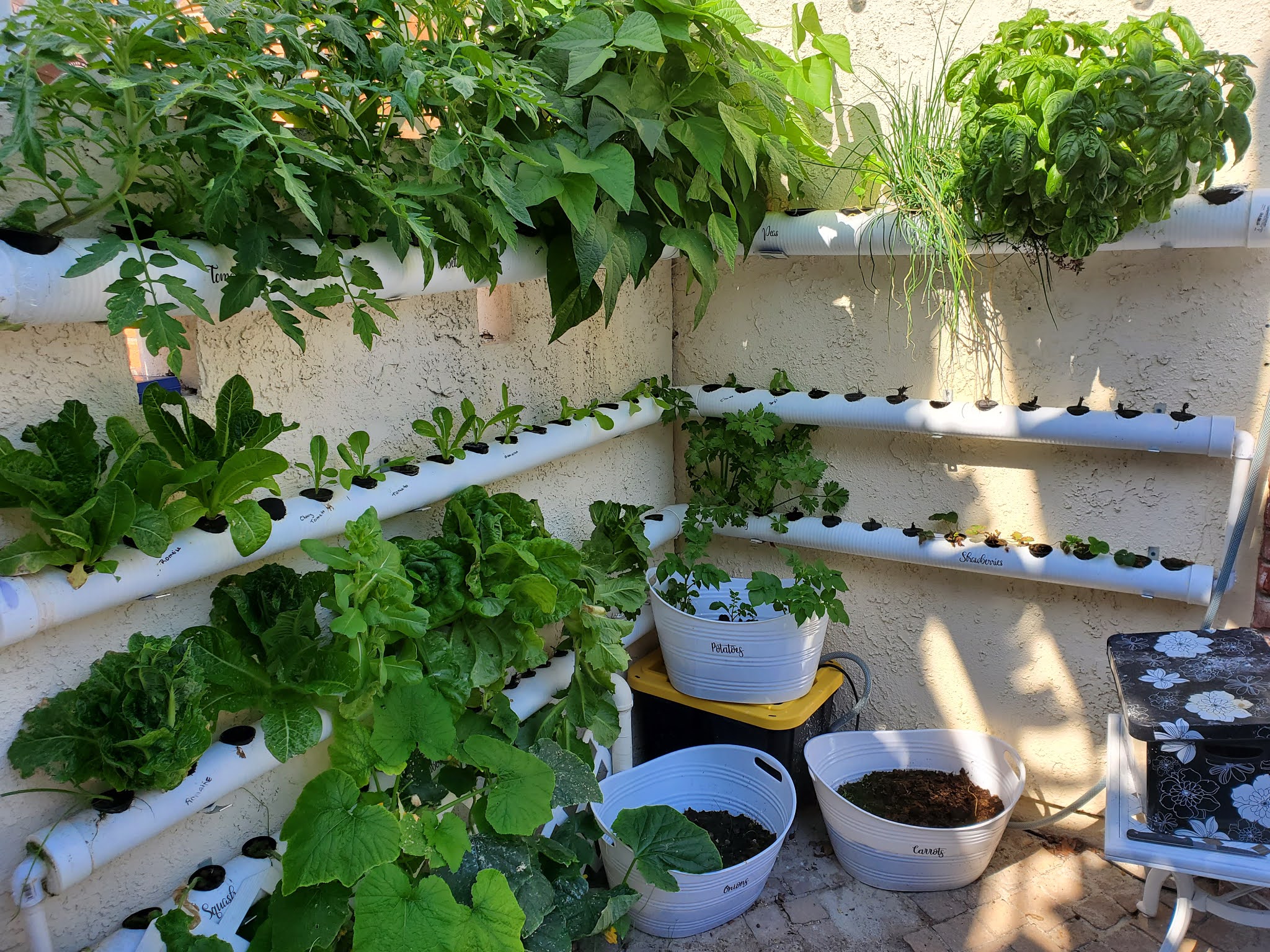 Hydroponic Garden - Cute Craft Ideas