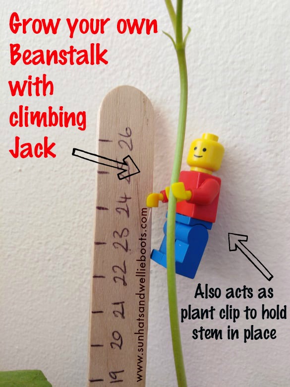 Sun Hats & Wellie Boots: Grow Your Own "Jack & the Beanstalk" with ...