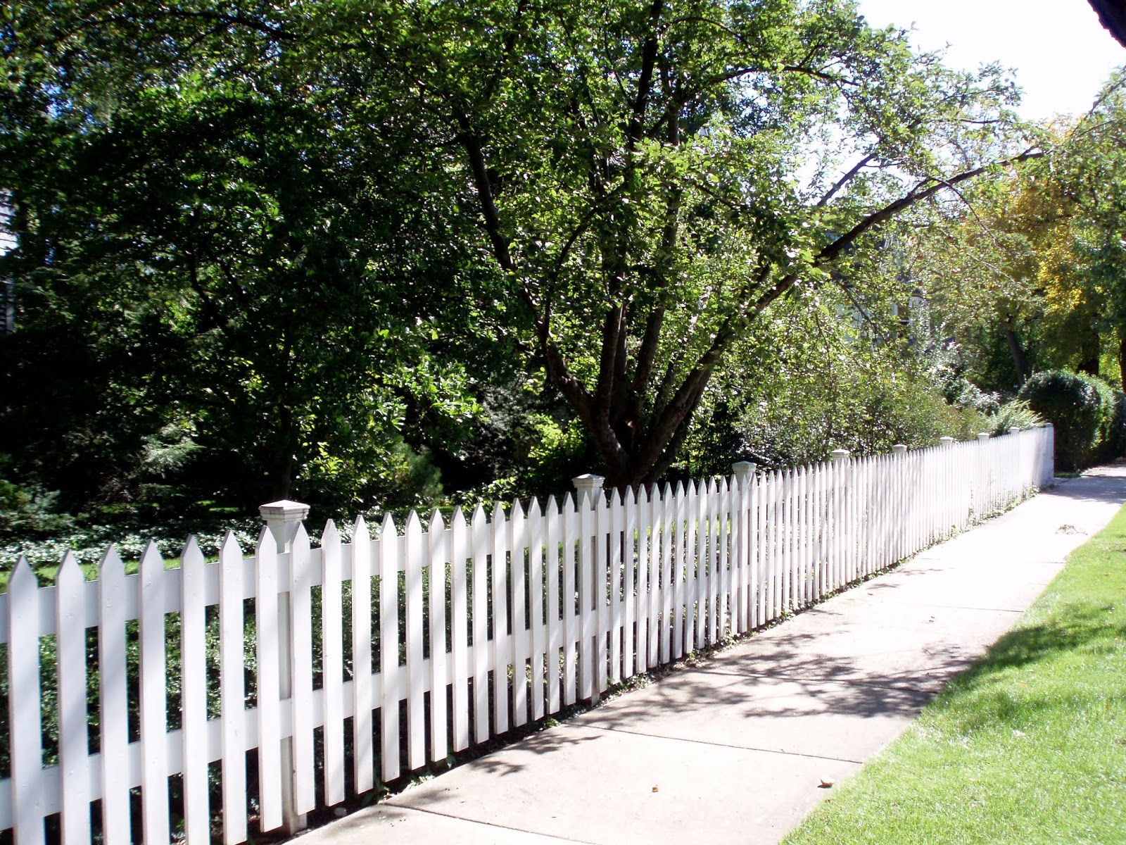 Made By Meghan K: Friendship Fence