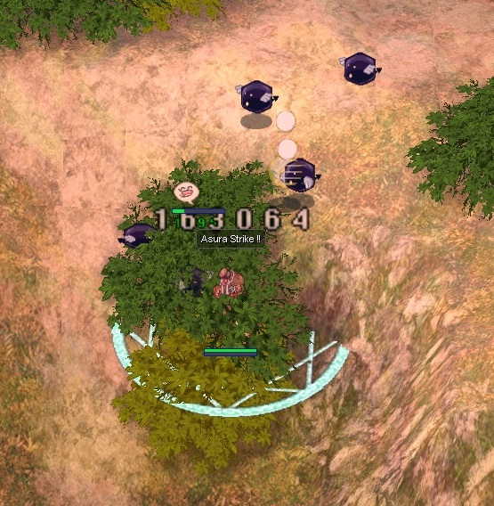 Ragnarok Online Guide: Ragnarok Online Champion Asura Strike PVM Build