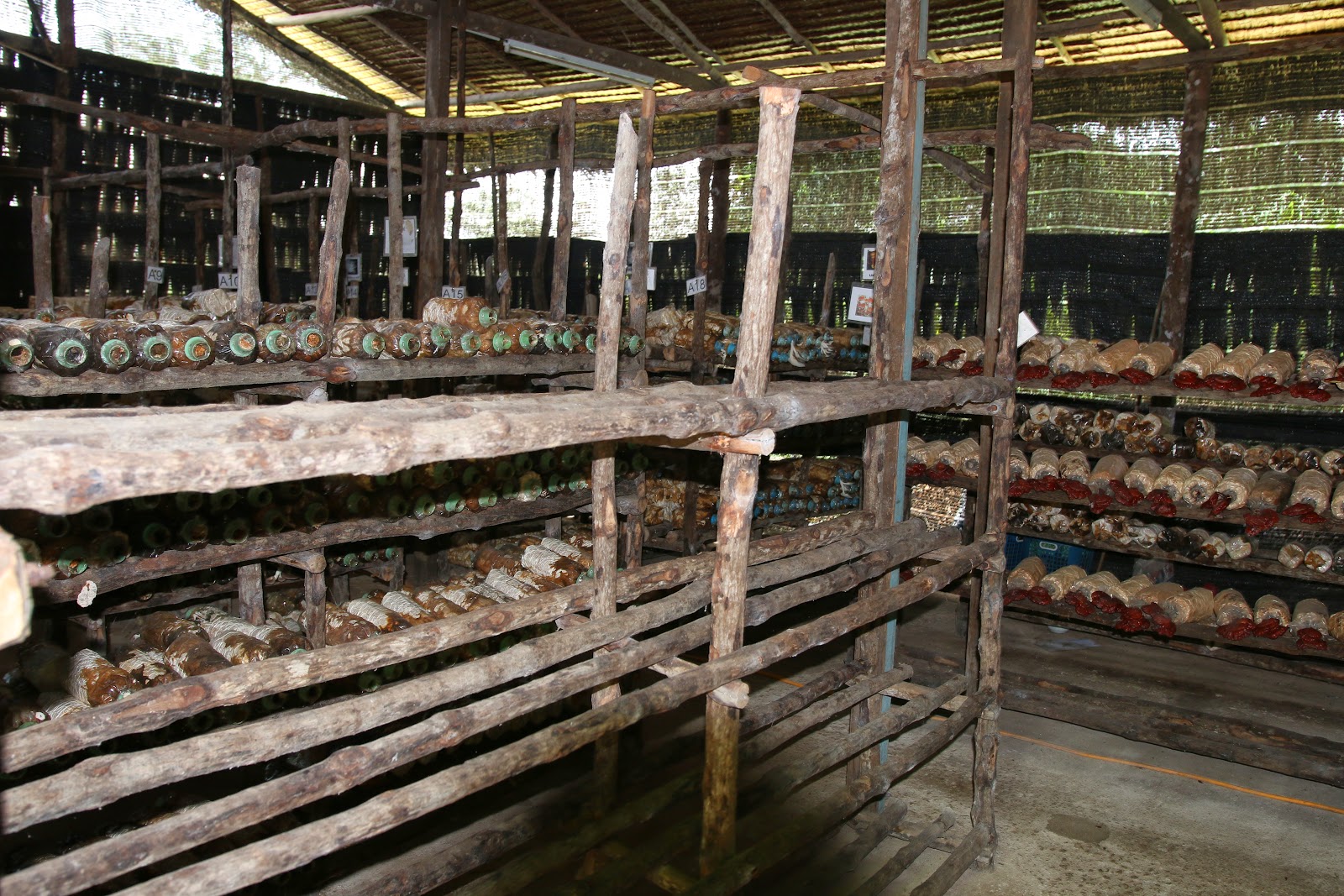 UK Farm Agro Resort, Kluang