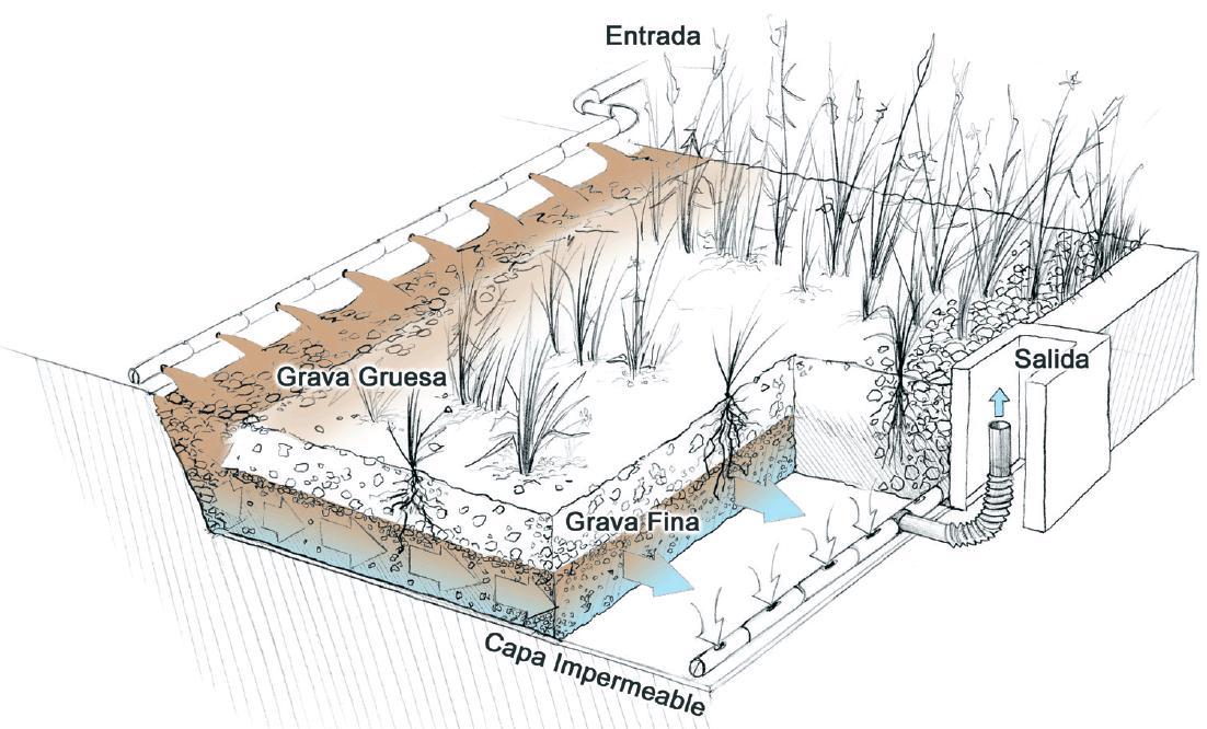 El medio en el medio: La importancia de los humedales