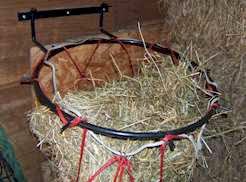 Horse Life and Love: Hay