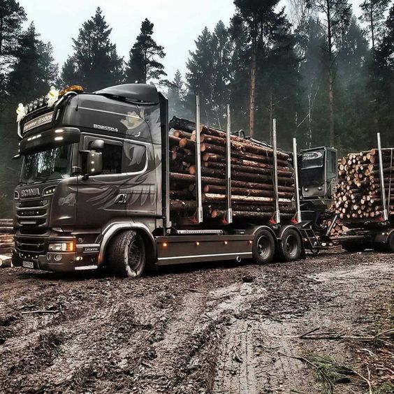 United Training Center: Code 14 Driving License Course In Otjiwarongo