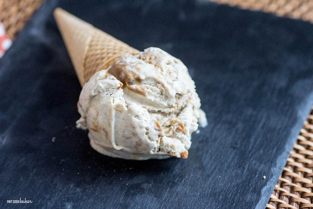 4 ingredient Horchata Ice Cream • Pint Sized Baker
