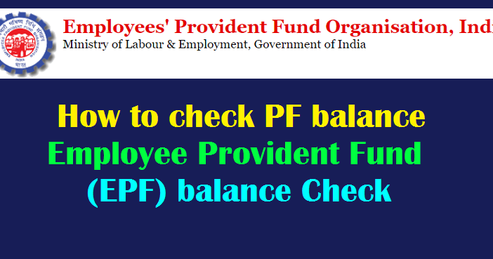 How to check PF balance: Get Employee Provident Fund details/ balance at www.epfindia.gov.in ...