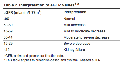 This Nursing Student Can't Even: Day 4: GenitoUrinary System