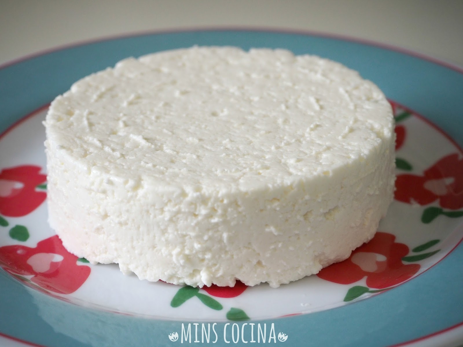 Queso Fresco Casero Receta Básica Cocina
