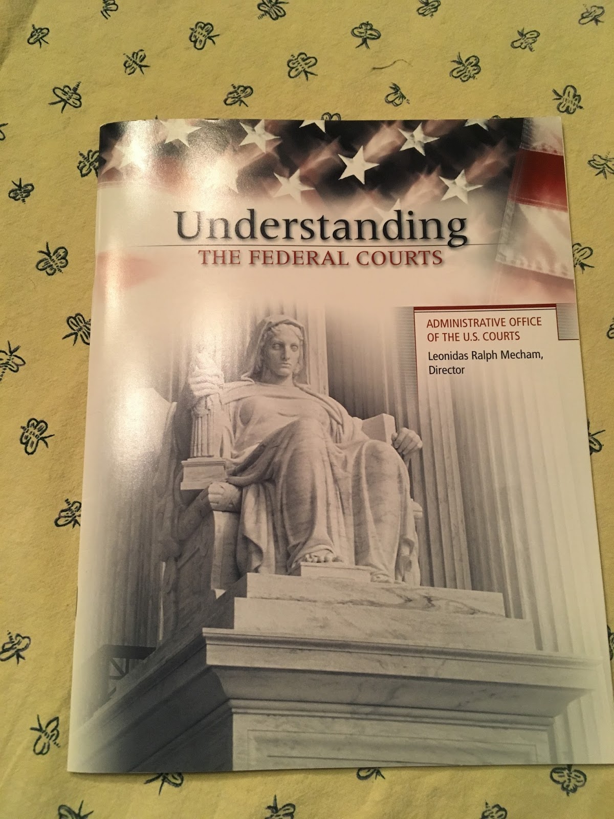 Mattsletters: U.S. District Chief Judge Julie A. Robinson of the U.S ...