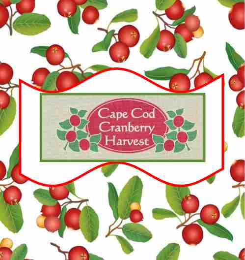 Momzdailyscoops: Cape Cod Cranberry Harvest Product Review