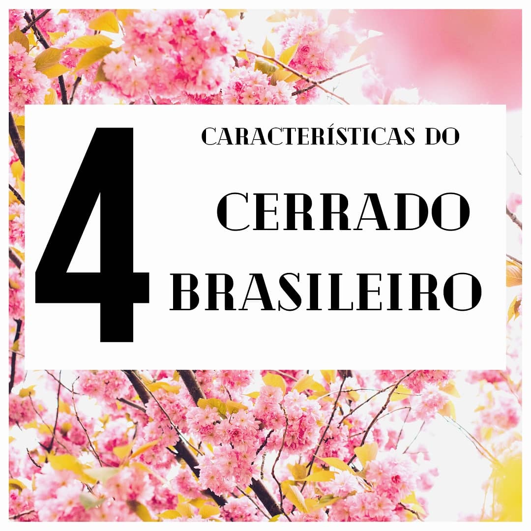 Você conhece o Cerrado Brasileiro?
