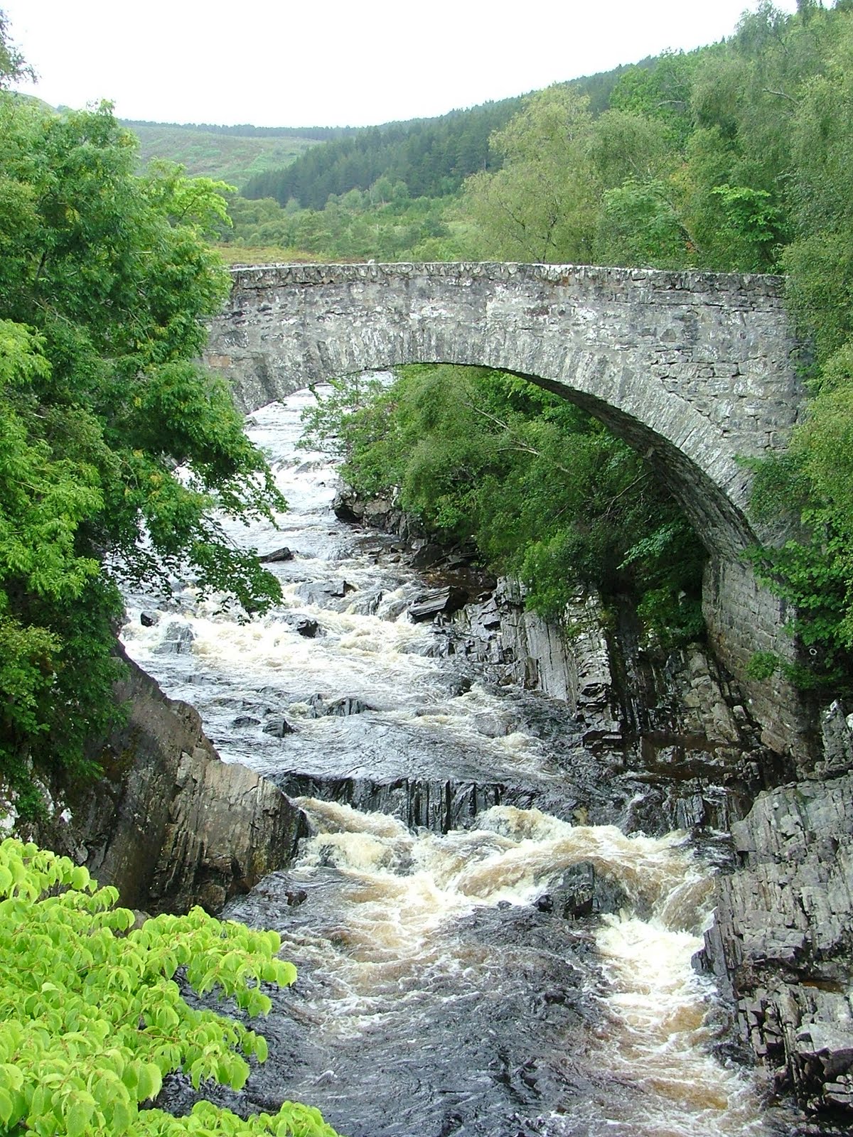 HEATHS IN EUROPE: SCOTLAND THE BRAVE