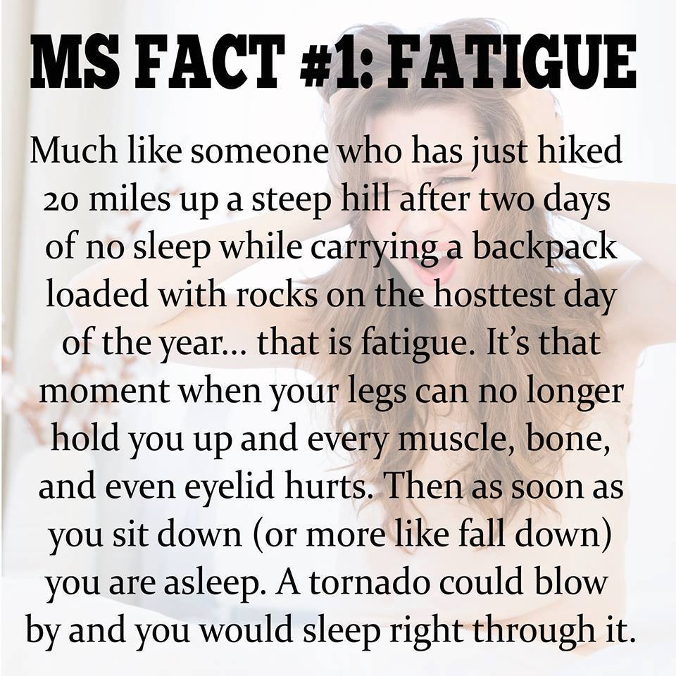 Mal's Gherkin Pram: MS Fatigue