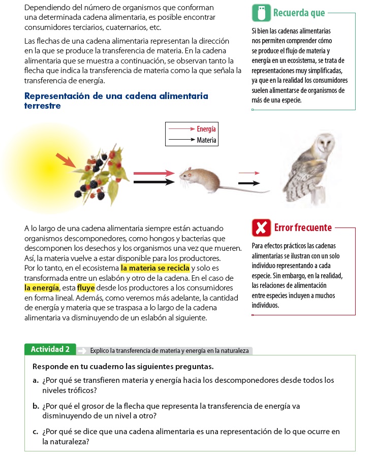 PROFESOR MILTON EMIRO MENDOZA 2021: GRADO SEPTIMO CIENCIAS NATURALES